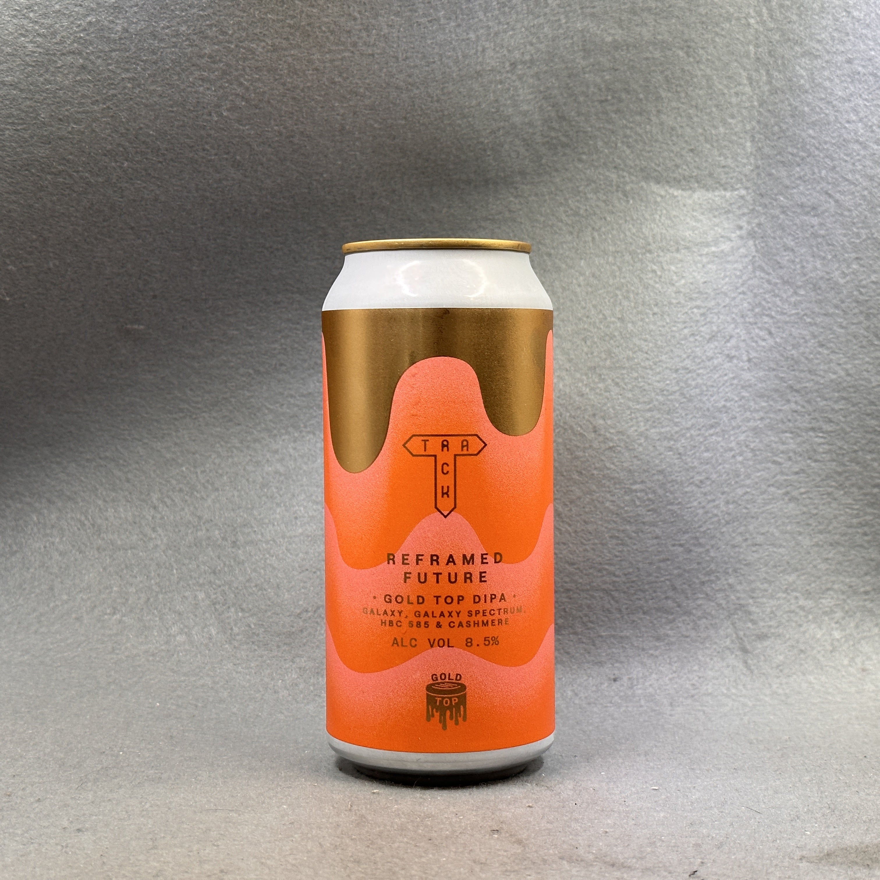 Track Reframed Future – Beermoth